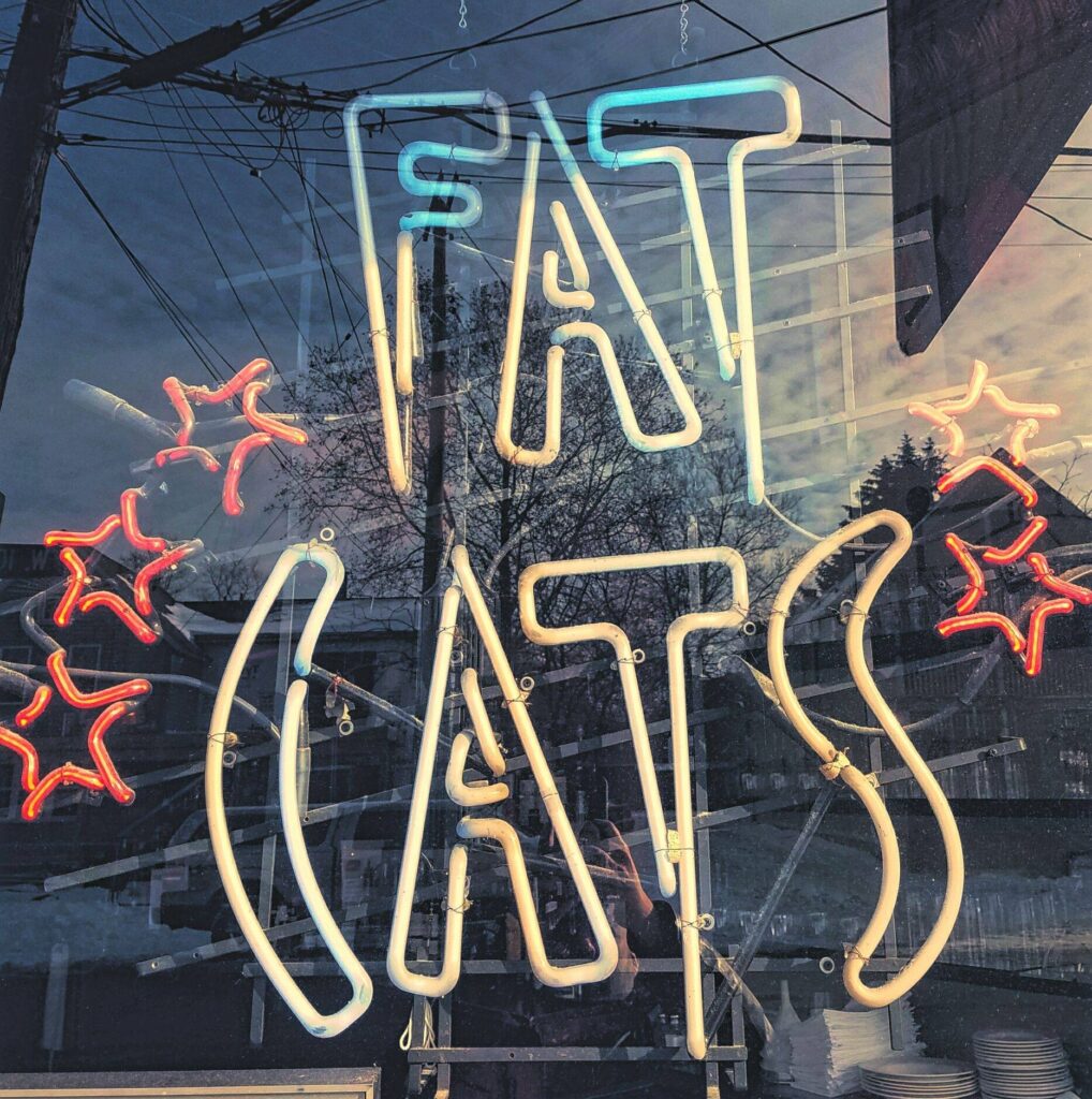 Fat Cats - Triple D Life